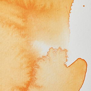 Winsor & Newton Professional Watercolor, 14ml (0.47-oz) Tube, Cadmium Orange