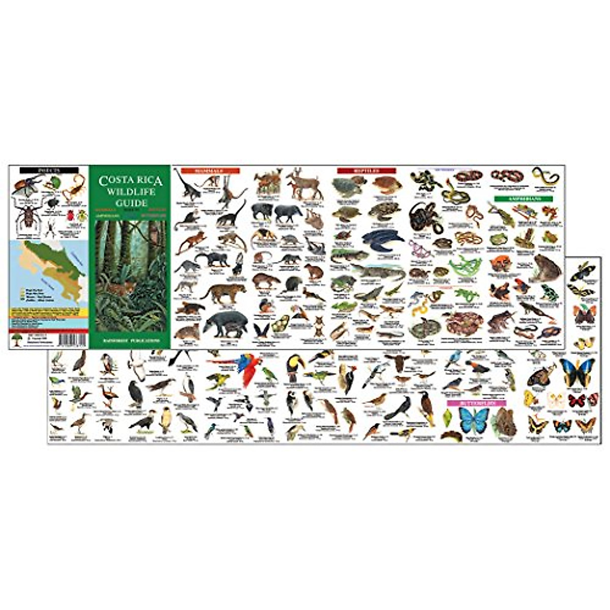 Costa Rica Wildlife Guide (Laminated Foldout Pocket Field Guide) (English and Spanish Edition)