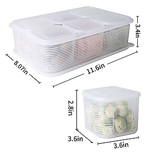 Sel natural Food Storage Containers with Lids Airtight,Plastic Reusable Fresh Produce Fruit Storage Organizer Storage Bin with 6 detachable small boxes for Storing Fish, Meat, Vegetables