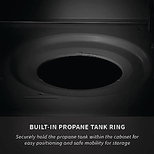 Napoleon Propane Gas Grill