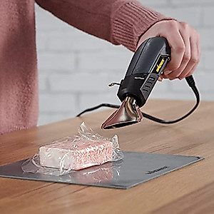 Wagner Spraytech 2410909 HT400 Craft Kit Heat Gun, Heat Gun Kit for Crafting, Embossing, Candle Making, Shrink Wrapping, and More, Embossing Heat Tool Craft Gun, Dual Temperature 680 & 450 degrees