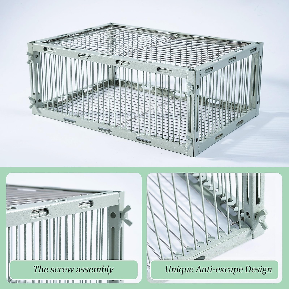 Bird Trap Cage with Escape-Proof,Bird Traps for Small Birds Live,Sparrow Trap,Portable,Easy Assembly and Unharmful.Made of Iron with Anti-Rust Paint A4