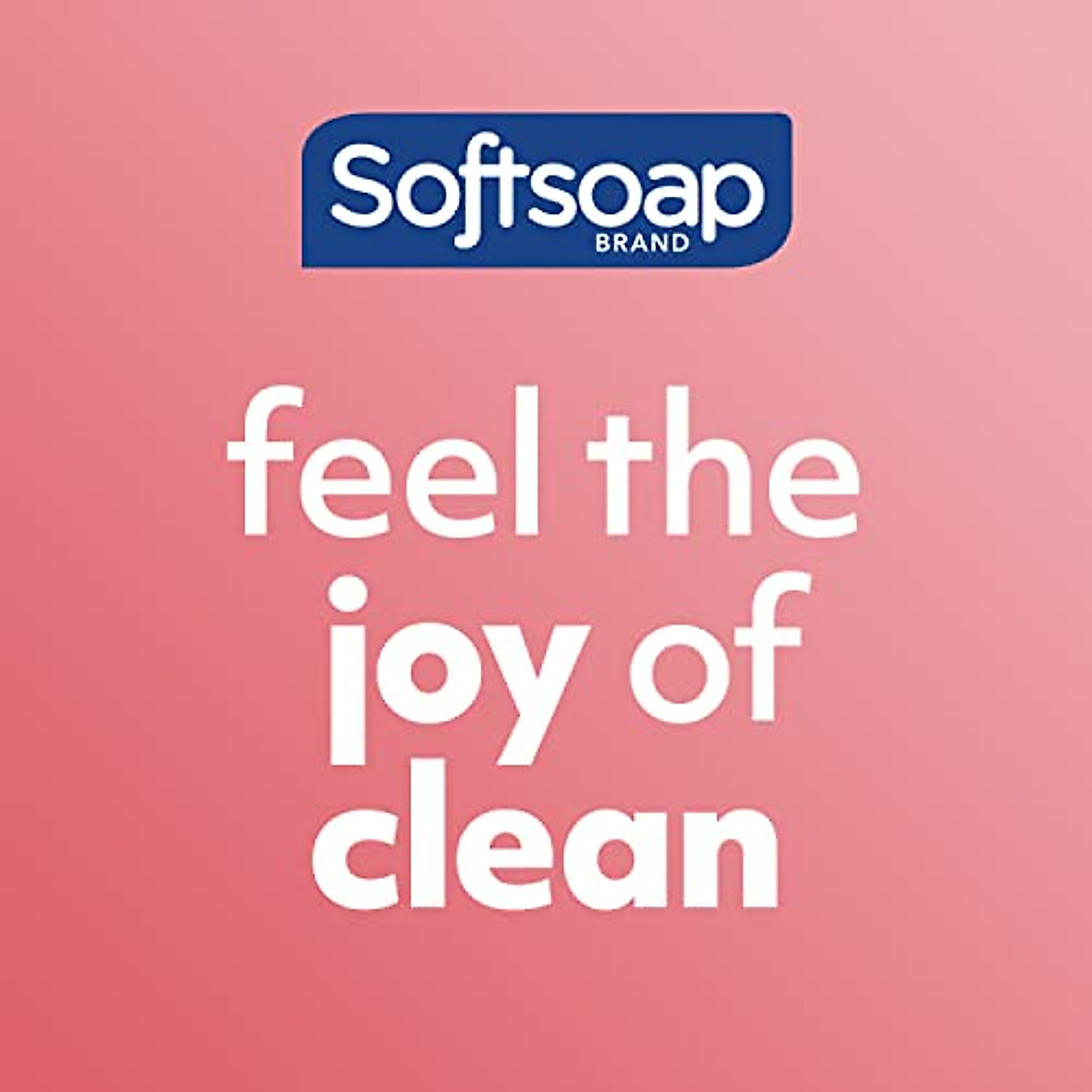 Softsoap Body Wash, Coconut Butter Scrub Body Wash, Exfoliating Body Wash, 20 Ounce (Pack of 2)