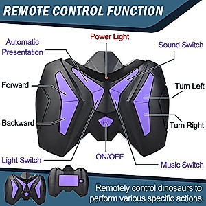 Remote Control Dinosaur Toys Kids - Jurassic Velociraptor Toys Imitates Walking and Sounds - Dinosaurs Toys for Boys Girls 3-5 +, Robot Toys That Can Sing, Shaking Head and Tail in Kids' Electronics