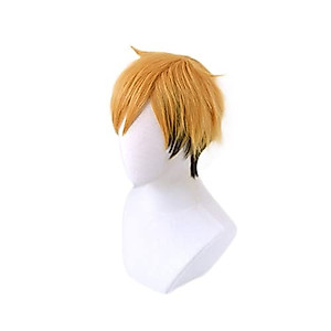Liamiona Cosplay Short Wig Heat Resistant Synthetic Hair Anime Wig Halloween Carnival Party Wigs