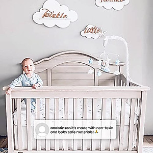 Delta Children Simmons Kids Asher 6-in-1 Convertible Crib with Toddler Rail, Rustic Mist