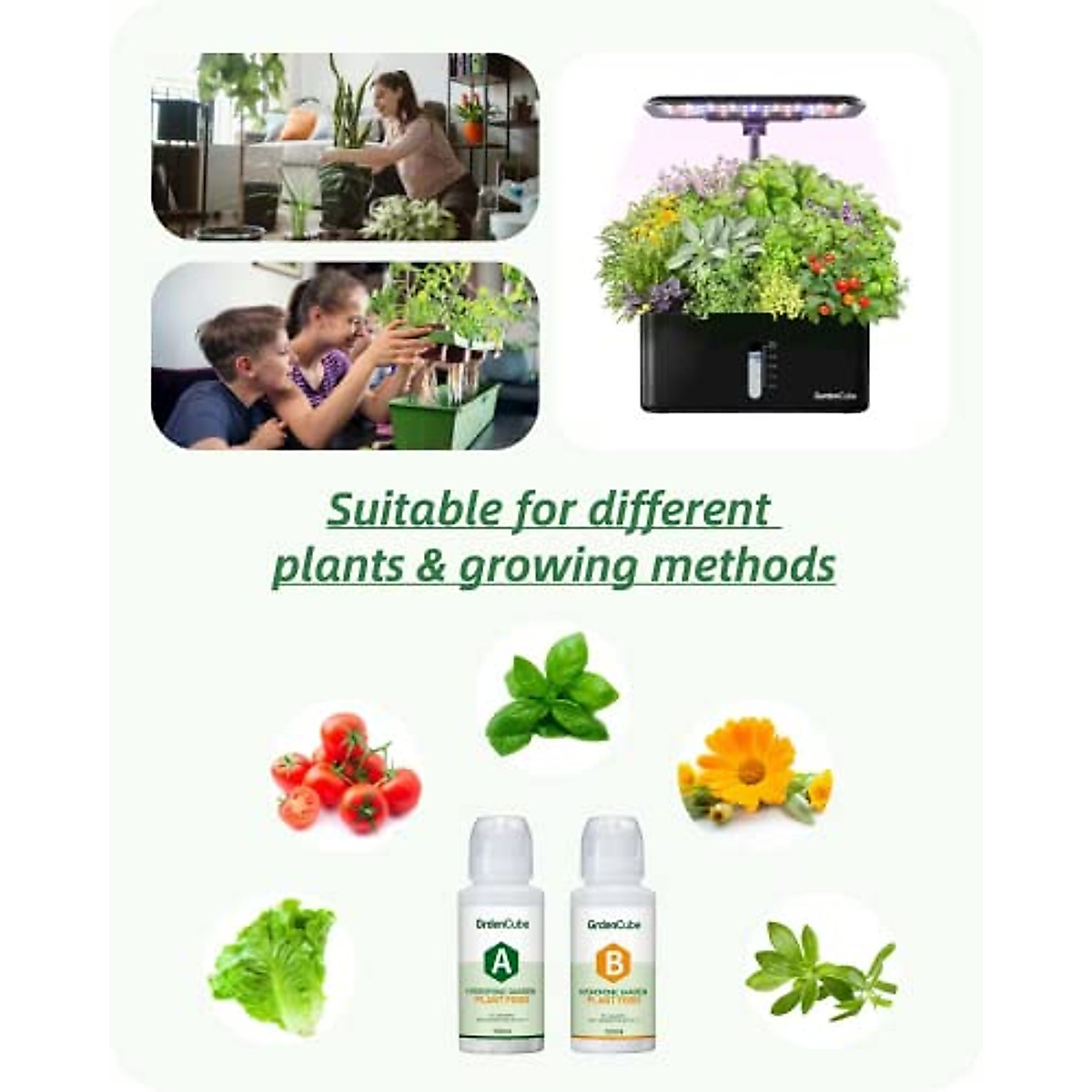 Plant Food Hydroponic Nutrients Supplies: Hydroponics Growing System General A&B Water Soluble Solid Fertilizer for Vegetables Fruits Flowers Thrive - Indoor Herb Garden Plants Accessories