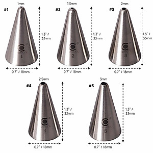 Cangool 5 Professional Nozzles for Drawing and Writing on Cakes, Cupcakes, Biscuit (Size 1, 2, 3, 4 and 5) - Piping Tips Compatible With Piping Bag