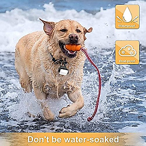 Dog Lights for Night Walking, Clip on USB Rechargeable Dog Collar Light, 3 Light Modes Dog Light, IP65 Waterproof Dog Light, LED Safety for Running, Camping, Climbing, Bike, 2 Pack