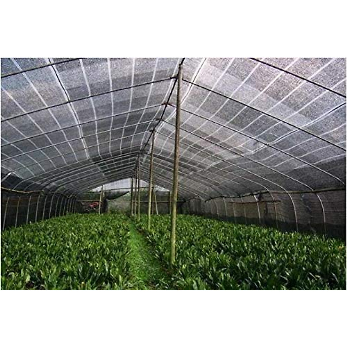 Shade Cloth Sunblock Mesh 6.5FTX6.5FT with 16 Aluminum Grommets Easier to Hang, UV Resistant Shade Sun Black Net Cloth for Greenhouse Flowers Plants Patio Lawn Mesh