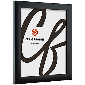 Craig Frames 16x20 Picture Frame, Modern Black with Plexiglass for Posters, Art, and Photography