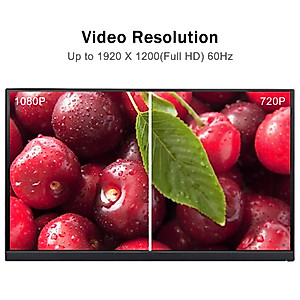 BENFEI VGA to VGA 6 Feet Cable with Ferrites