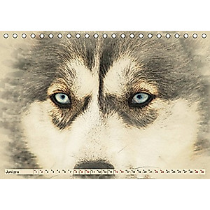 Schlittenhunde 2019 (Tischkalender 2019 DIN A5 quer): Der Kalender ist im kunstvollen Aquarell-Stil gehalten, so dass jedes einzelne Bild einem kleinen Kunstwerk gleicht. (Monatskalender, 14 Seiten )