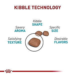 Royal Canin Feline Care Nutrition Urinary Care Adult Dry Cat Food, 6 lb Bag