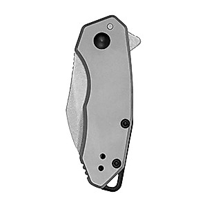 Kershaw Rate Folding Pocket Knife, Small Everyday Carry Knife with Assisted Opening, 8Cr13MoV Stainless Steel Blade, Pocketclip and Lanyard Hole,Grey