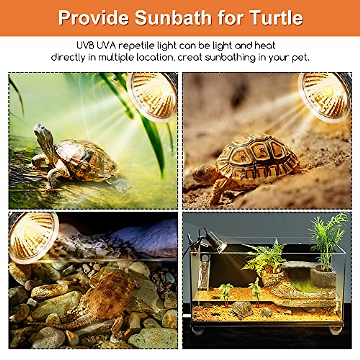 Pilarmuture 2PCS 75W Reptile Heat Lamp, UVA UVB Full Spectrum Reptile Turtle Heating Lamp Bulbs E27 Sunbathe Heat Lamp Basking Bulb for Reptile Amphibian Turtle Lizard (with 2Pcs Coconut Tree)