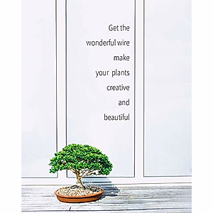 MoHern Bonsai Wire, 6 Sizes of 1mm, 1.5mm, 2mm, 2.5mm, 3mm, 4mm Black Aluminum Wire, Total 152 Feet Bonsai Tool Kit, 300 Grams Bonsai Tree Wire for Bonzai Trees Indoor