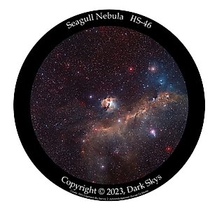 HS-46 Segull Nebula Star disc for The Homestar Flux