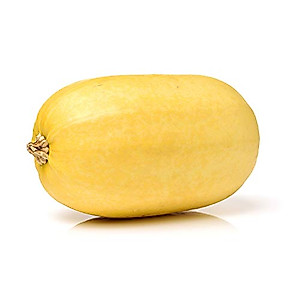 Vegetable Spaghetti Winter Squash Seeds for Planting, 25+ Heirloom Seeds Per Packet, (Isla's Garden Seeds), Non GMO Seeds, Botanical Name: Cucurbita Pepo, Home Garden Gift