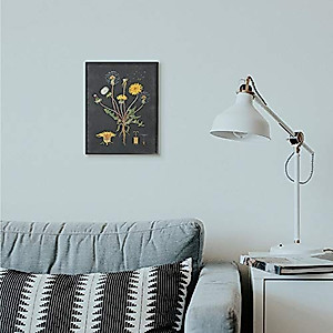 Stupell Industries Botanical Drawing Dandelion, Design by Artist Lettered and Lined Wall Art, 11 x 14, Black Framed