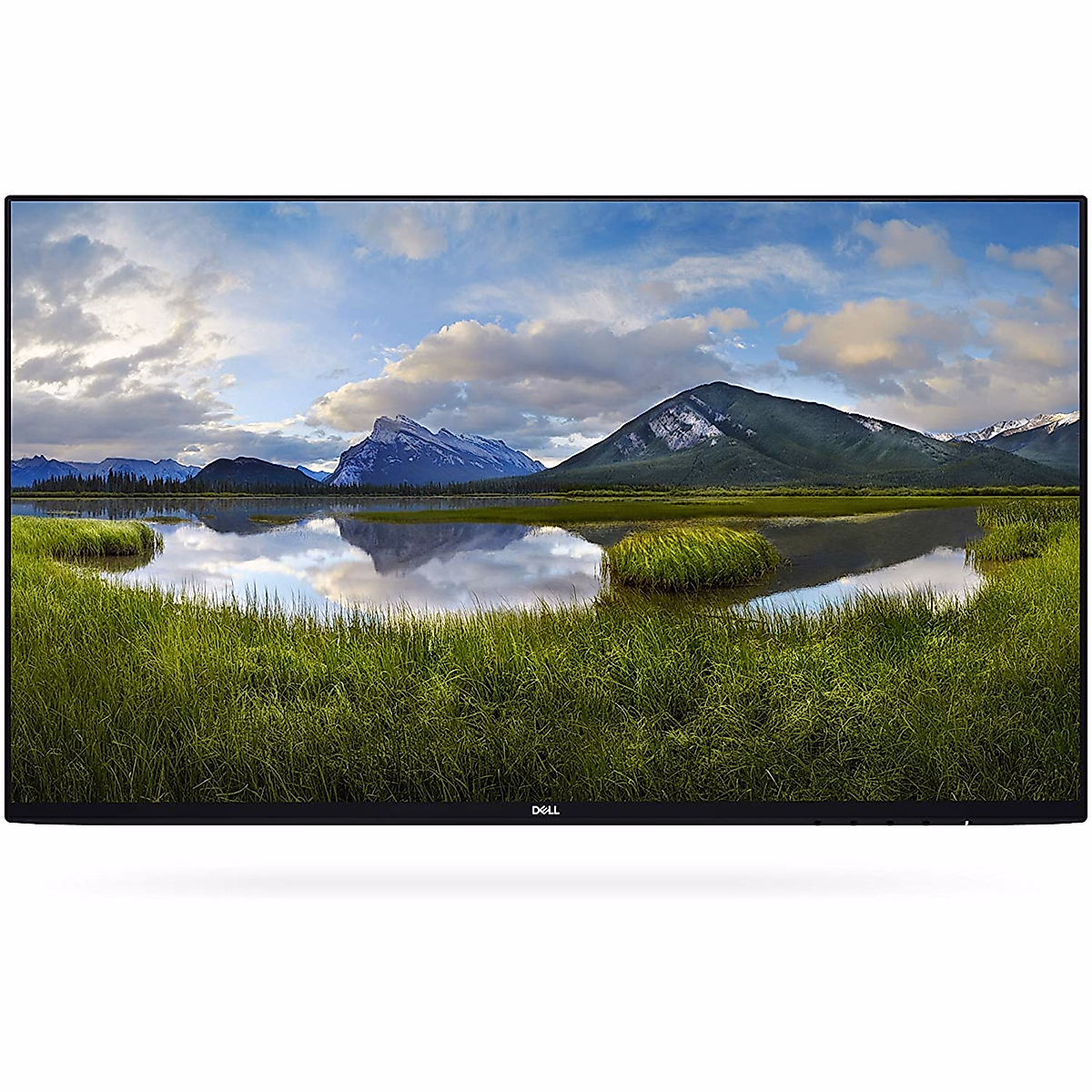 Dell UltraSharp 24 Monitor: U2419H Without Stand