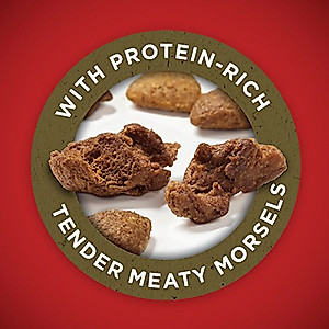 Purina ONE Dry Dog Food Lamb and Rice Formula - 16.5 lb. Bag