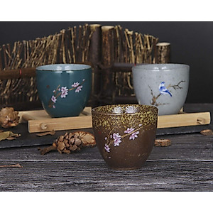 VanEnjoy Set of 5 Hand-Drawn Traditional Chinese Ceramic Teacup Tea Cups, Floral and Bird Pattern, Bulk Teacup in Gift Box (Floral Birds)