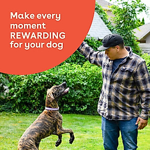 Pupford Crunchies, Premium Treat for Dogs & Puppies (Chicken & Sweet Potato, 5 oz)