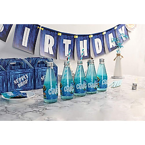 SUYEPER Game Party Supplies Bottle Labels for Birthday Party Game Birthday Party Decorations (24 Count)