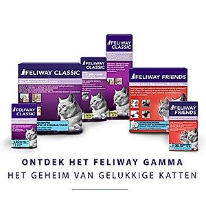 Feliway Optimum Refill, The Best Solution to Ease cat Anxiety, cat Conflict and Stress in The Home