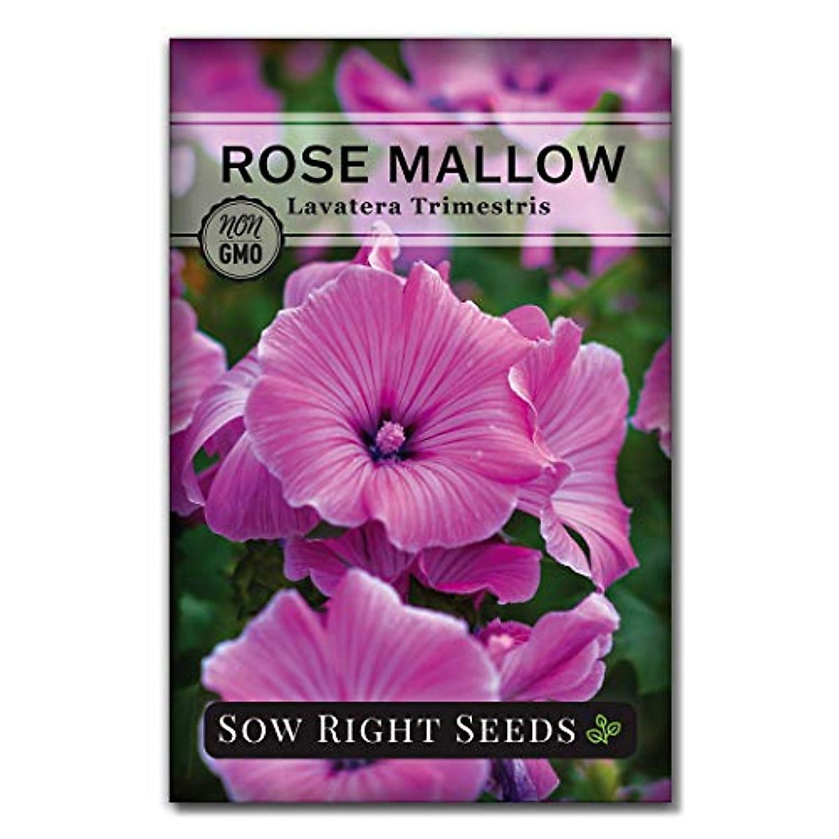 Sow Right Seeds - Tree Mallow Hibiscus Seeds to Plant - Full Instructions for Planting and Growing a Beautiful Flower Garden; Non-GMO Heirloom Seeds; Wonderful Gardening Gift (1)