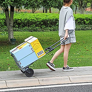 Leeyoung Folding Hand Truck and Dolly, 264 Lb Capacity Heavy-Duty Luggage Trolley Cart with Telescoping Handle and PP+EVA Wheels