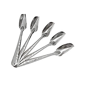 Quluxe 5 Pcs Bird Parrot Stainless Steel Metal Feeding Spoon, Special Feeding Scoop Medicine Spoons Hand Feeding Spoons for Peony Cockatiel Parrot
