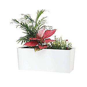 SAROSORA 14" Rectangle Self Watering Planter with Water Level Indicators for Plants & Flower Home Garden Outdoor Indoor Succulent | Herb pots | Window Box (1, White)