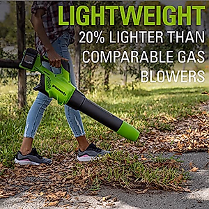 Greenworks 2 x 24V (48V) Cordless Axial Leaf Blower (125 MPH / 515 CFM / 125+ Compatible Tools), (2) 2.0Ah Batteries and Dual Port Charger Included