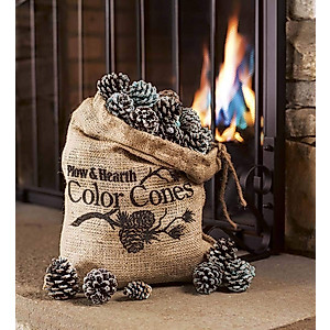 Fireplace and Firepit Color Cones, Festive Fun Rainbow Flame Changing Pine Cones, Firepit Campfire Hearth Wood Burning Accessories for Holidays or Anytime (6 LB in Burlap Bag)
