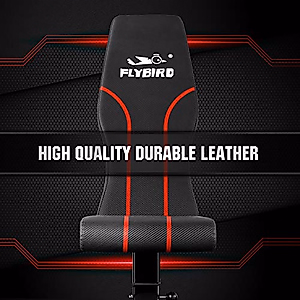 FLYBIRD Adjustable Bench,Utility Weight Bench for Full Body Workout- Multi-Purpose Foldable Incline Bench (Black)