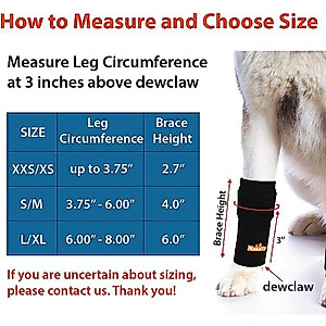 NeoAlly Dog Braces Front Leg Carpal Support Canine Wrist Braces with Safety Reflective Straps for Limping, Joint Pain, Lameness, and Loss of Stability from Arthritis (S/M Pair)