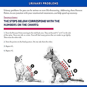 Pressure Point Therapy for Pets Kit: The Complete Do-It-Yourself (at Home Treatment Manual) Includes Book and Chart Pack for on-The-go