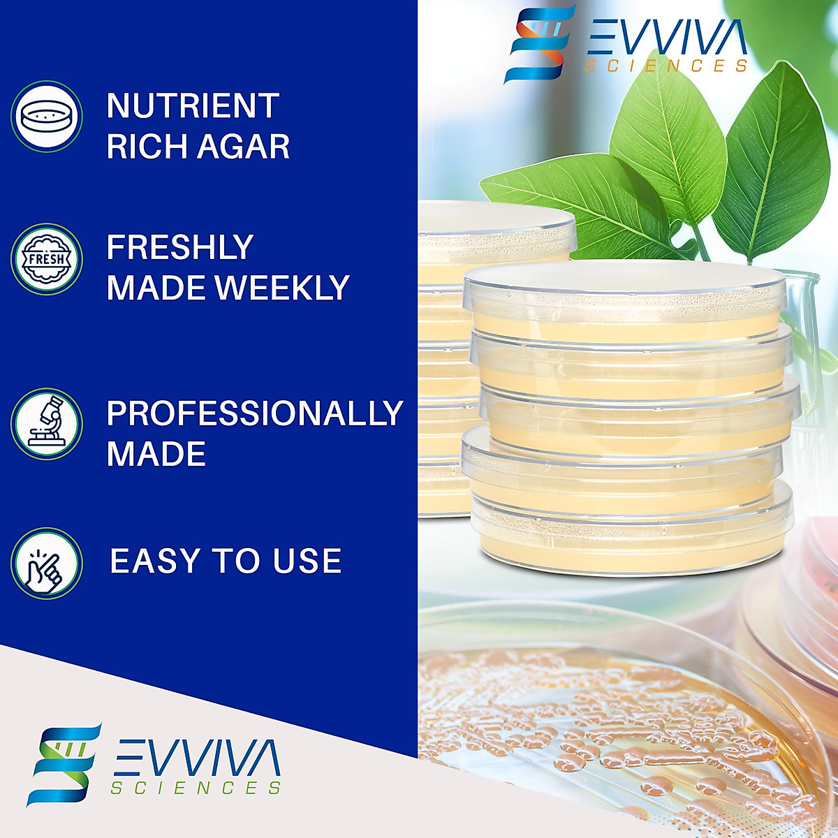 Evviva Sciences Nutrient Agar Petri Dishes Science Project Kit, Pre-Poured Agar Plates for Science Experiments, with Experiment eBook