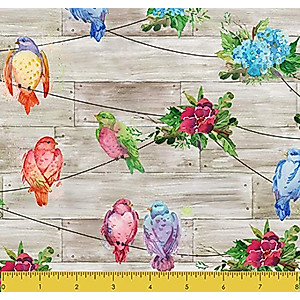Stitch & Sparkle Melody Garden-Abloom Birds 100% Cotton Fabric 44" Wide, Quilt Crafts Cut by The Yard