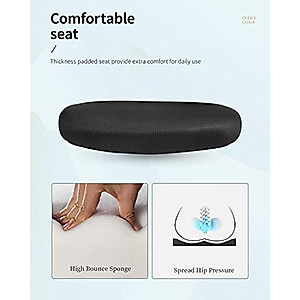 Home Office Chair Mid Back PC Swivel Lumbar Support Adjustable Desk Task Computer Ergonomic Comfortable Mesh Chair with Armrest (Black)