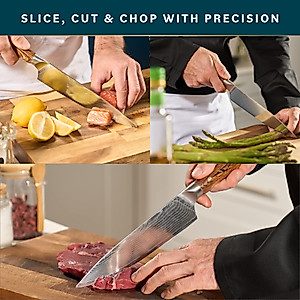 Home Hero 2 Pcs Japanese Knife Collection with Sheath - VG10 Damascus Steel Triple Rivet Kitchen Knife - Ultra Sharp 67 Layers Damascus Knife with Ergonomic Rosewood Handle (8 Inch Chef Knife)