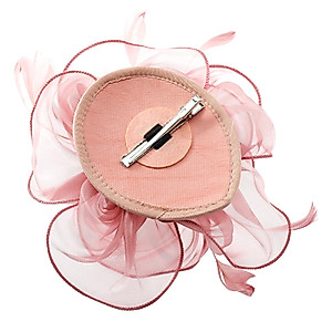 Fascinators Hats for Women Kentucky Derby Tea Party Hat Wedding Mesh Ribbons Cocktail Fancy Flower Feathers Fascinator Clip Pink