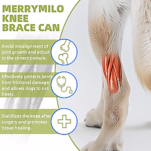 Lushnessu Dog Leg Braces for Back Leg- Dog ACL Brace for Torn and Back Hind Rear Legs ACL Tear, Dog Leg Brace for Hip Dysplasia, Dog Arthritis, Luxating Patella(Size L)