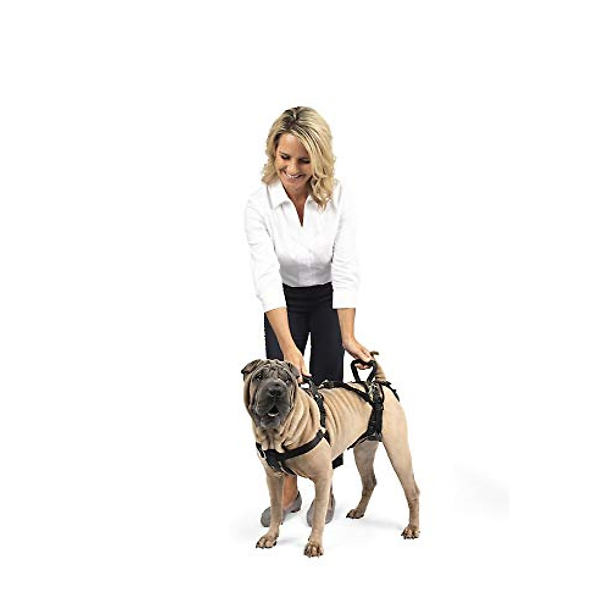 PetSafe CareLift Support Harness - Full Body Dog Lift Harness with Handle & Shoulder Sling - Great for Elderly Dogs, Hip Dysplasia, ACL Surgery - Designed to Help Them Up - Adjustable - Large