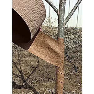 HORT Paper Tree Wrap 3" x 50' roll, Commercial Grade