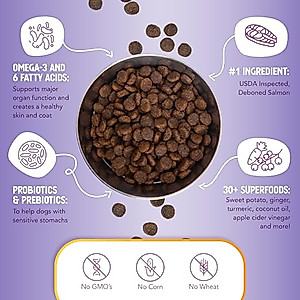 Health Extension Dry Dog Food, Natural with Added Vitamins & Minerals, 1 lb / 0.45 kg, Grain Free, Salmon & Sweet Potato Recipe with Vegetables & Berries for All Puppies