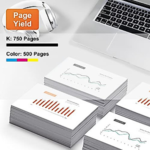 TESEN 60XL Remanufactured 60XL Ink Cartridge Replacement for HP 60 XL 60XL Use with HP Envy 100 120 114 DeskJet D2530 D2430 F4440 Photosmart C4640 C4650 D110a Series Printer (2 Pack, 1 Black+1 Color)