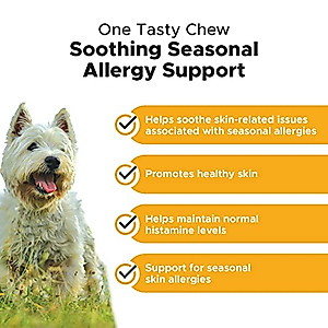 PetHonesty Allergy Skin Health - Fish Oil for Dogs Omegas, DHAGold, Flaxseed, Probiotics for Itch-Free Skin, Shiny Coats, Helps Reduce Shedding, Soft Chews for Healthy Skin & Coat - 90 ct (Salmon)
